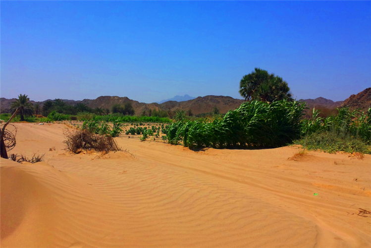 Arabian Peninsula Media Roundup (18 May 2018)