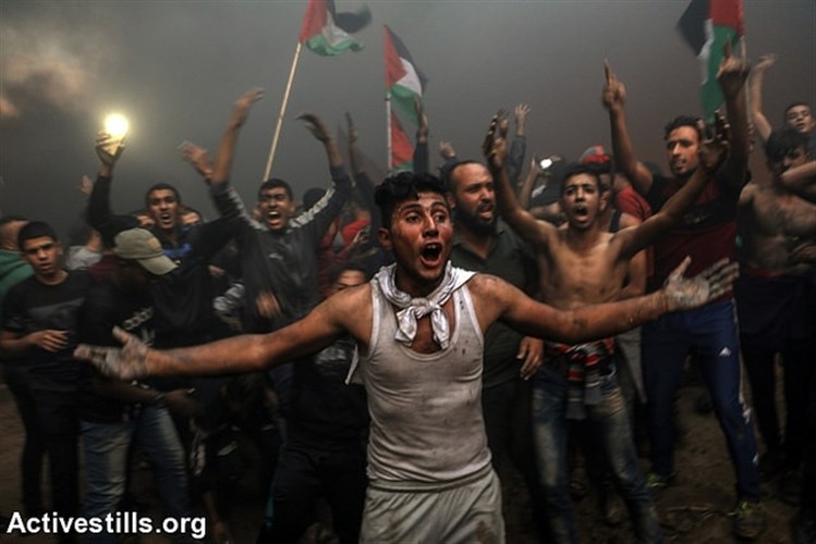 Resistance & Mobilization Media Roundup (October-November 2018)