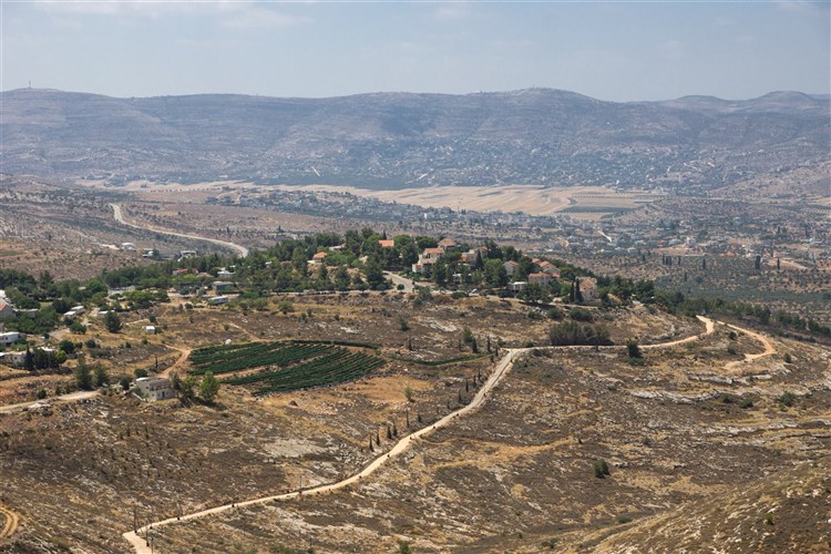 Palestine Media Roundup (13 April)