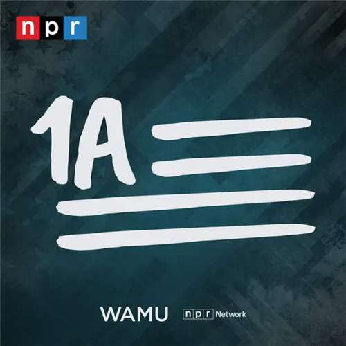 Podcast Interview with Jadaliyya Co-Editor Sherene Seikaly on NPR's 1A ...