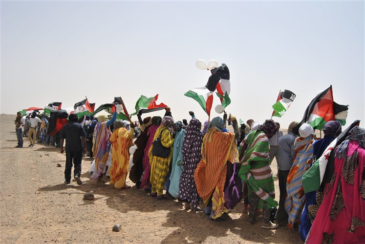 Maghreb Media Roundup (June 14)