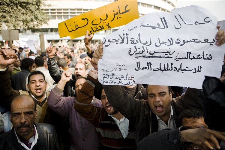 Egypt's Working Class and the Question of Organization