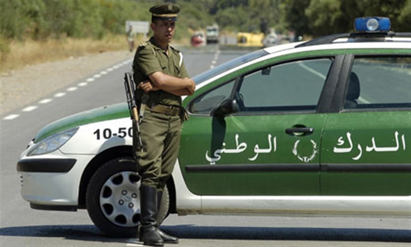 Algeria's Military Capabilities