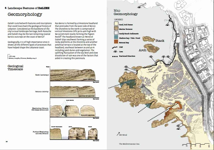 Dalieh Civil Campaign’s Open Competition: Background Report