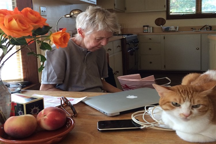 Generations of Resistance