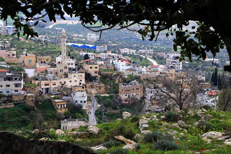 Snapshot: Palestinian Spring