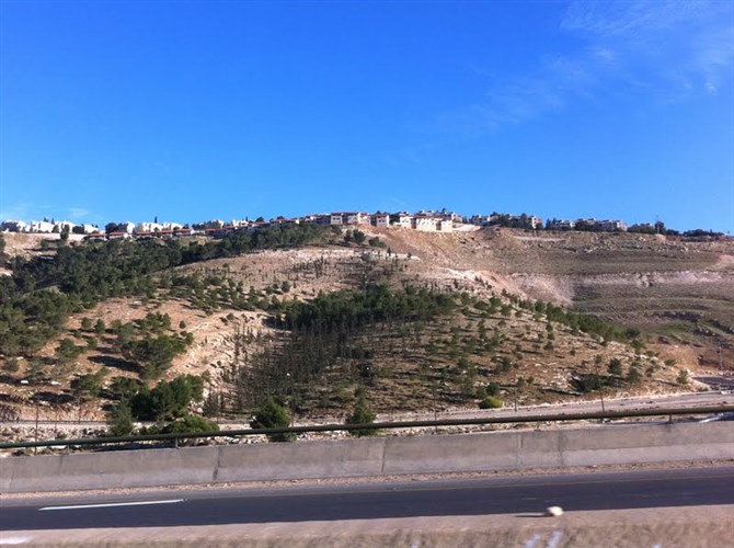 Colonial Planning of My Grandfather’s Hilltop