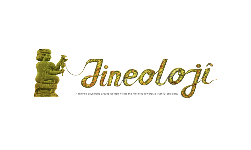 Open Letter to the Public About the Article "Beyond Feminism? Jineolojî ...
