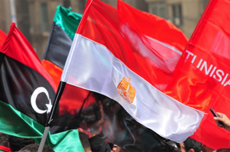 The Arab Spring: Common Roots, Common Challenges