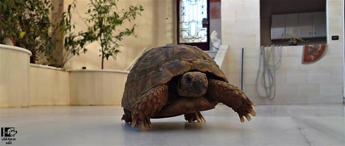 Syria News Update (2 September 2013)